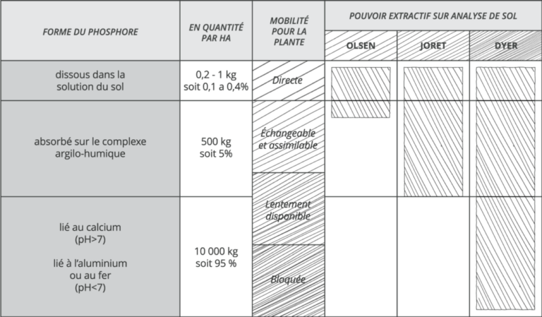 Déblocage du Phosphore non Assimilable | Terrabiotec